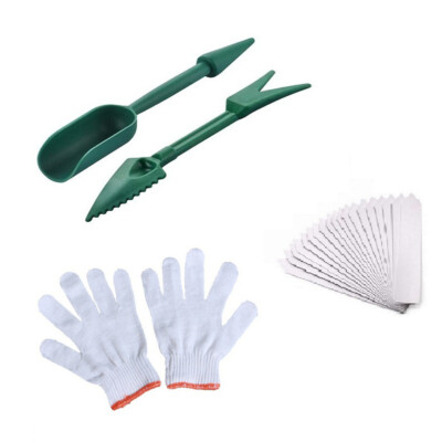 Succulents Transplanting Seedling Fertilizer Garden Lifter with Label ...