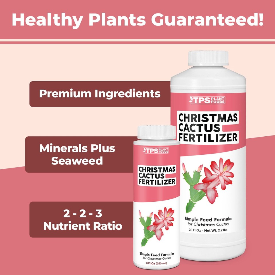 Christmas Cactus Fertilizer for All Christmas Cacti and Schlumbergera ...