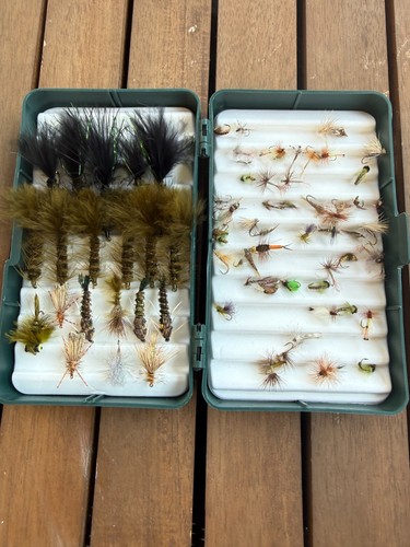 Fly Fishing Freshwater Trout Flies & Fly Box | eBay