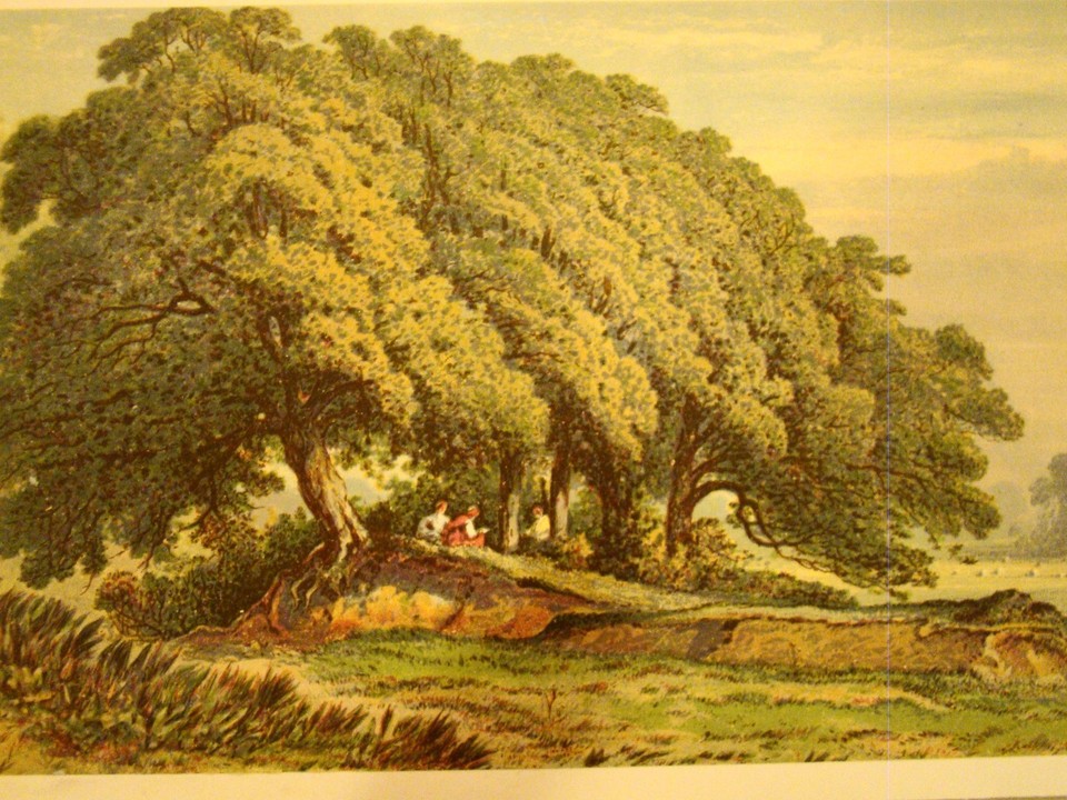 Sketching from Nature in Water Colours. 14 chromolithograph plates ...
