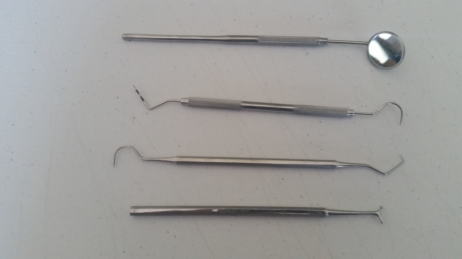 4 PC SET Dog Teeth Cleaning Tool Dental Pick Probes New | eBay