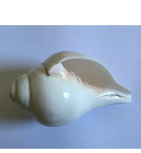 Genuine Vamavarti Shankh / Conch Shell Horn (White, 7") approx-Diwali ...