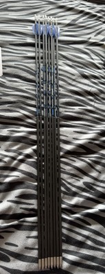 8x Skylon Radius Arrows 650 Spine At 27 Inches | eBay UK