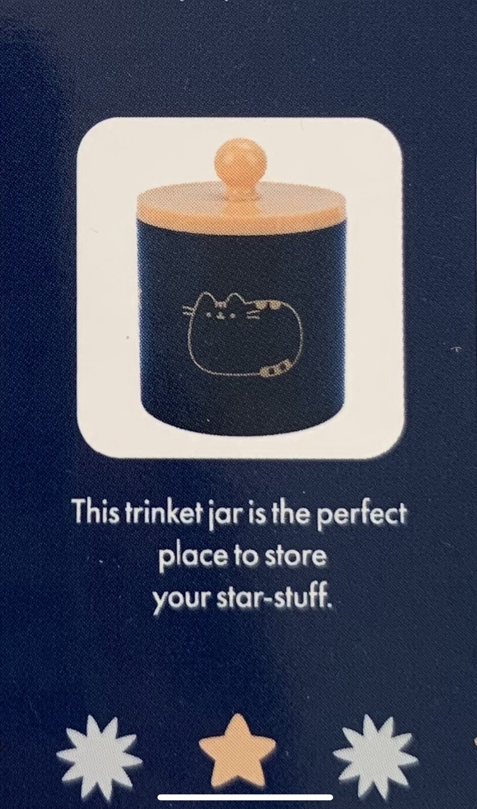 Pusheen Trinket Jar Cosmic Stellar Fall Box 2020 New | eBay
