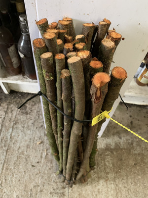 Blackthorn SHANKS X 30 STICKS Lot 10 | eBay