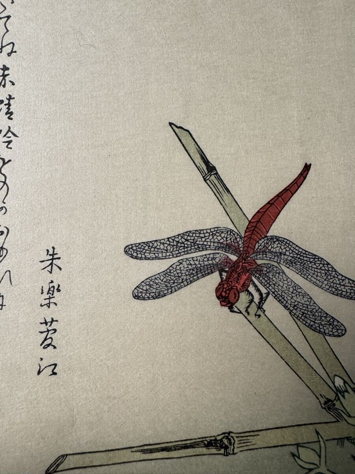 Makoto Kitagawa Utamaro Insects, Red Dragonfly and Snakes, Carvings ...