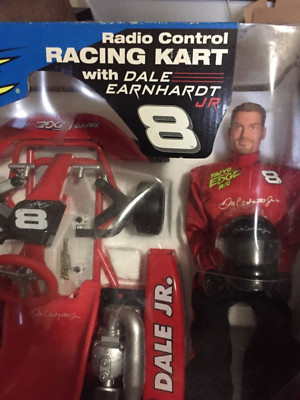 Dale Earnhardt Jr Taiyo Edge #8 Radio Controlled Racing Kart Freestyle ...
