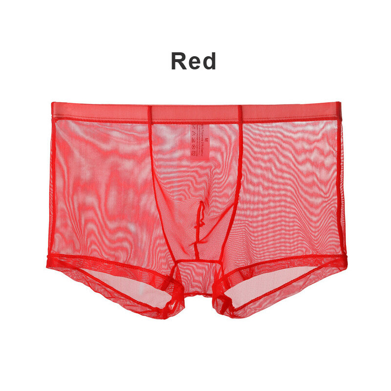 Sexy Men's See-through Boxer Briefs Sheer Mesh Pouch Underwear Panties ...