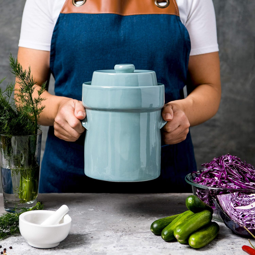 Fermentation Crock Jar Sauerkraut Crock - For Onggi Kimchi Pot (0.5 ...
