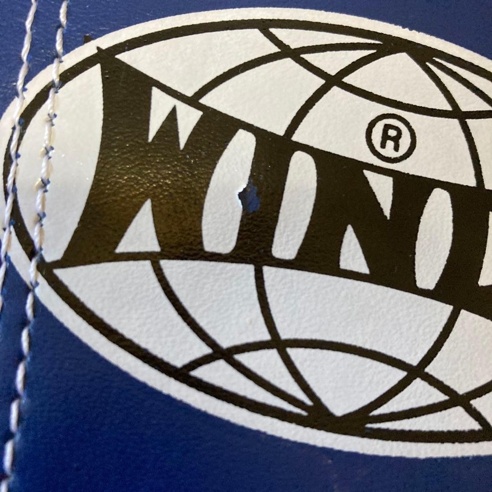 Windy Tbg-2 Size M Blue Punching Gloves | eBay