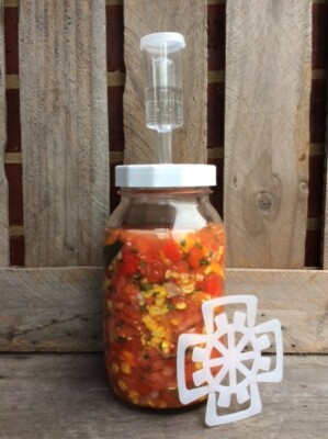 1.5L WIDE MOUTH PICKLER FERMENTING JAR, VISCODISC & INSTRUCTIONS | eBay ...