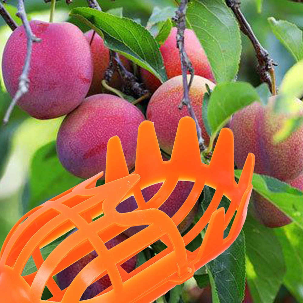 2 Pcs Fruit Picker Mangos Lemon Apples Picking Tools Orchard Winter ...