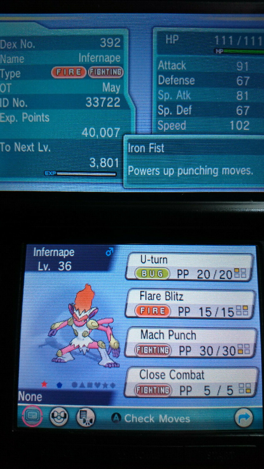 Shiny Infernape X And Y