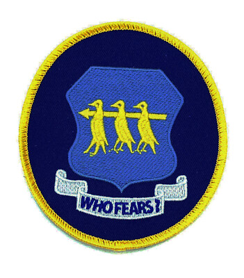 301st Bombardment Wing (Medium) Patch, 4 inch, Iron On | eBay