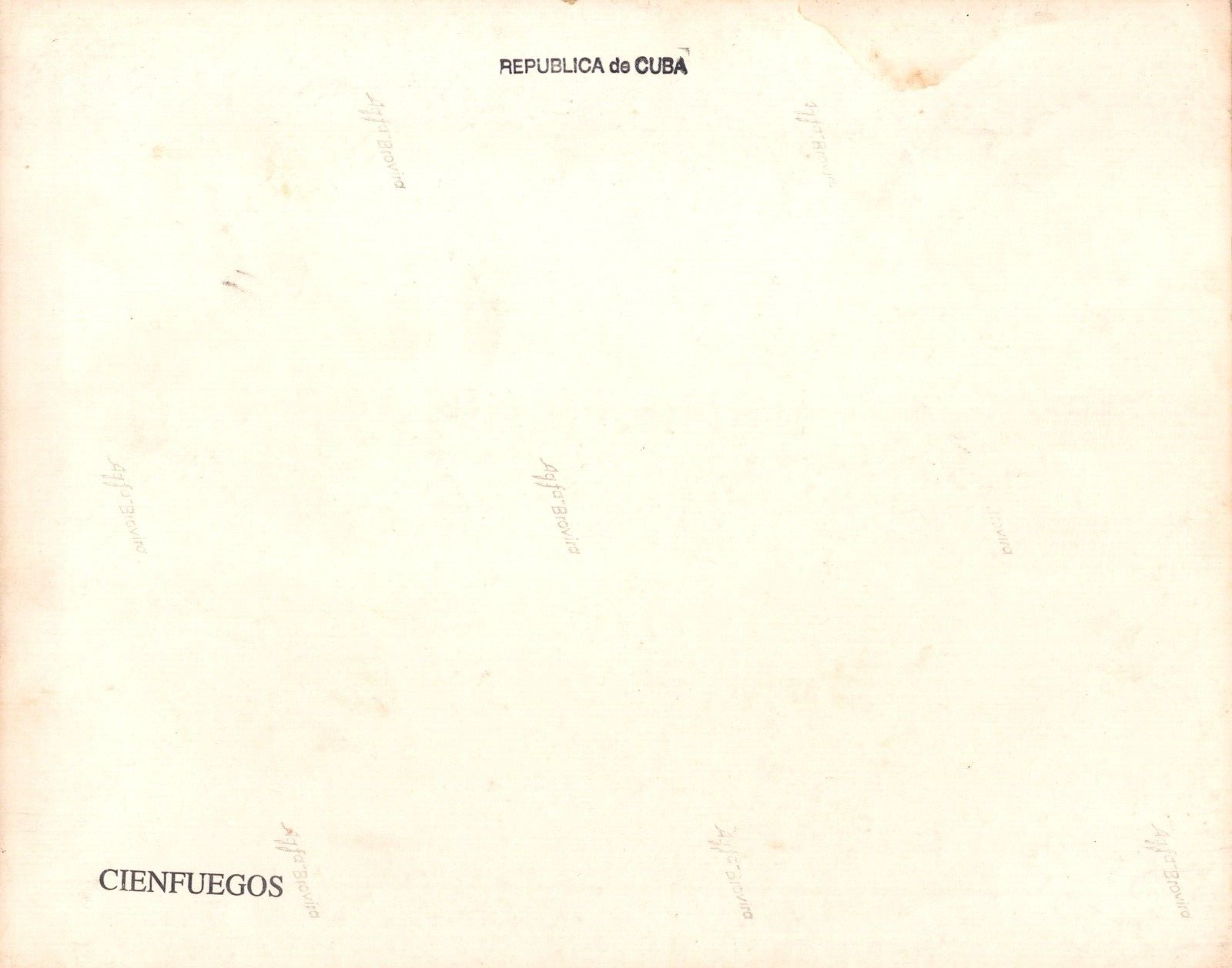 CUBAN BOY SCOUTS AT MILITARY FLAG RISING CEREMONY CUBA 1950s VINTAGE ...