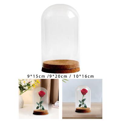 Portable Preserved Flower Glass Cover Dome Glass Display Case Elegant ...