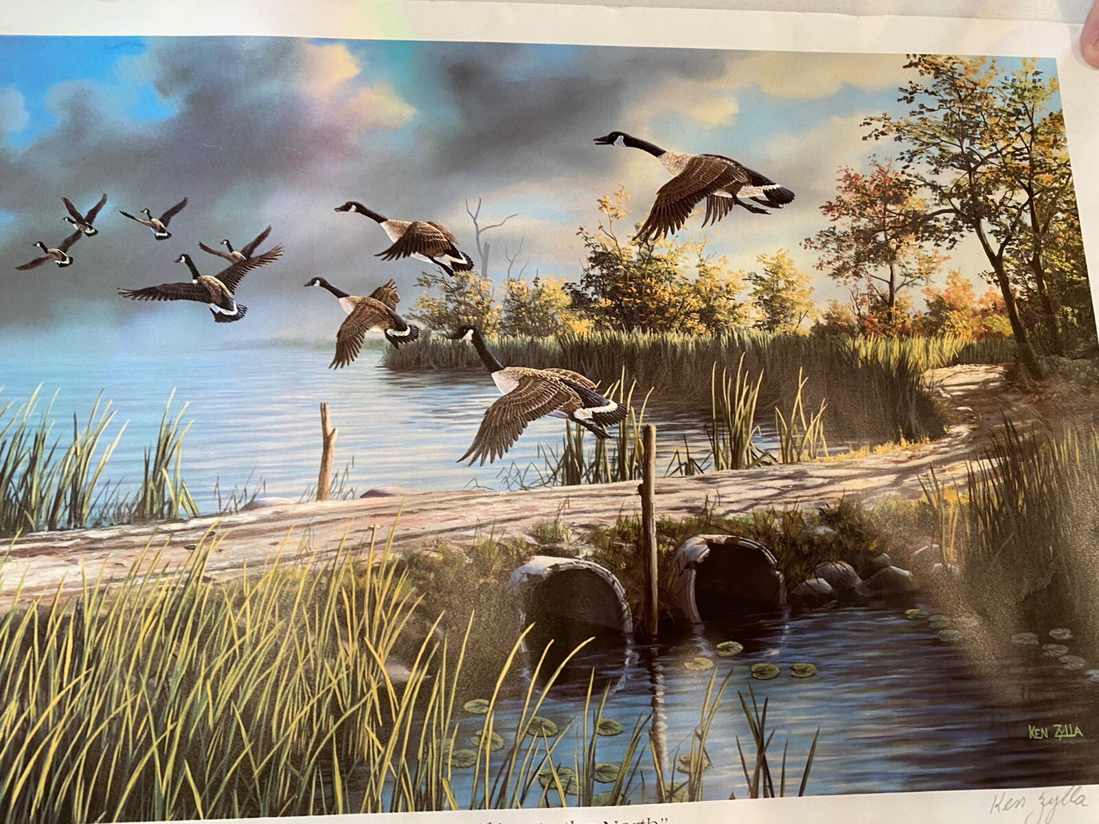 Ken Zylla - ''Lifting to the North'' Wall Art S/N limited Edition Print ...