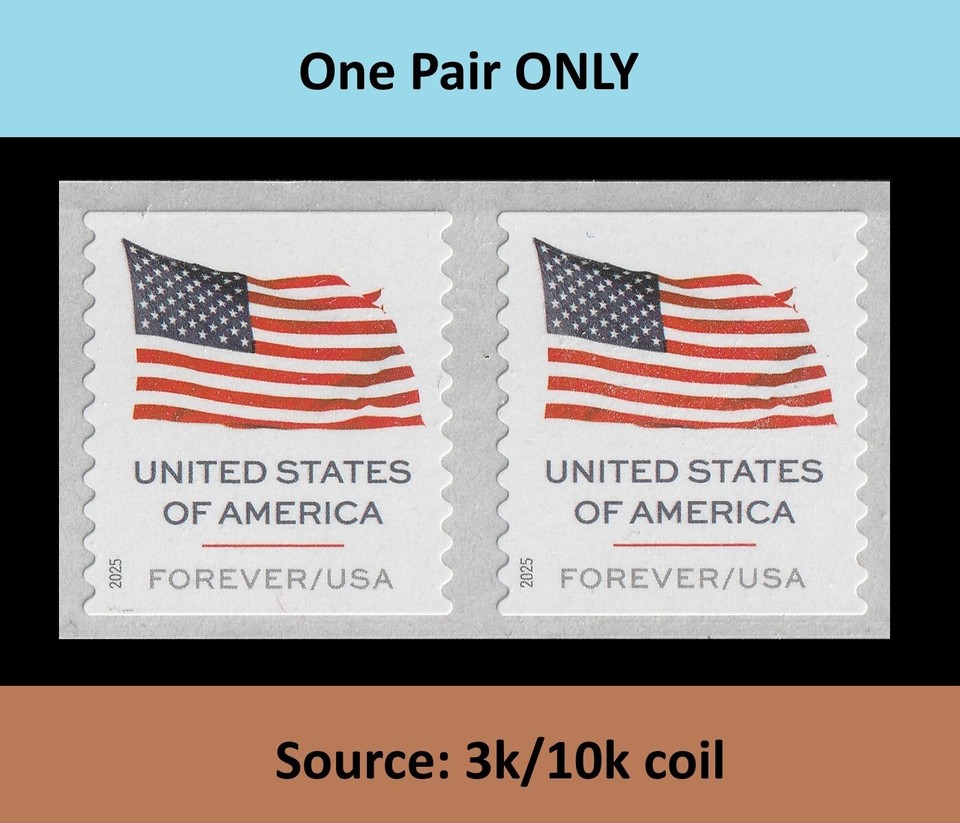 US 6016 6017 6018 Flag F coil pair set 3x2 (from APU BCA 3k/10k coil ...