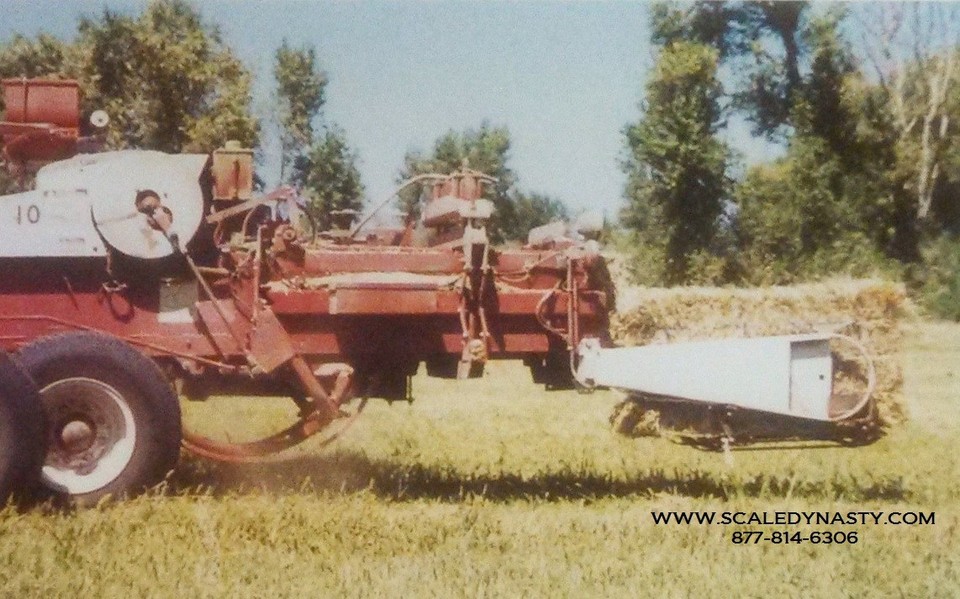 HAY BALE SCALE - HAY BALING SCALE - HAY BALE WEIGHING SCALE MADE IN ...