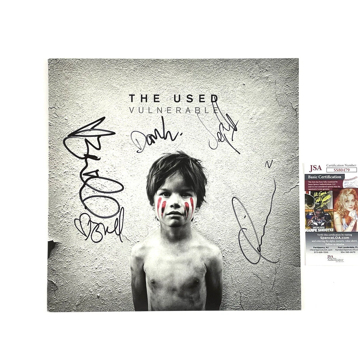The Used Vulnerable