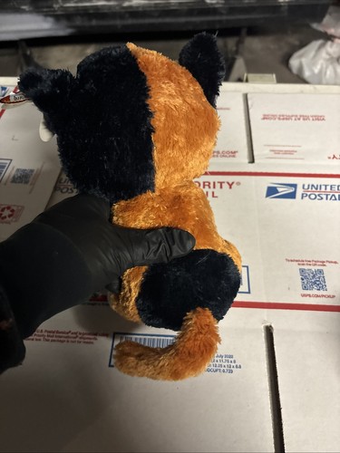 Ty Beanie Babies Boo Tauri The Calico Cat Plush 9” Stuffed Animal Toy w ...