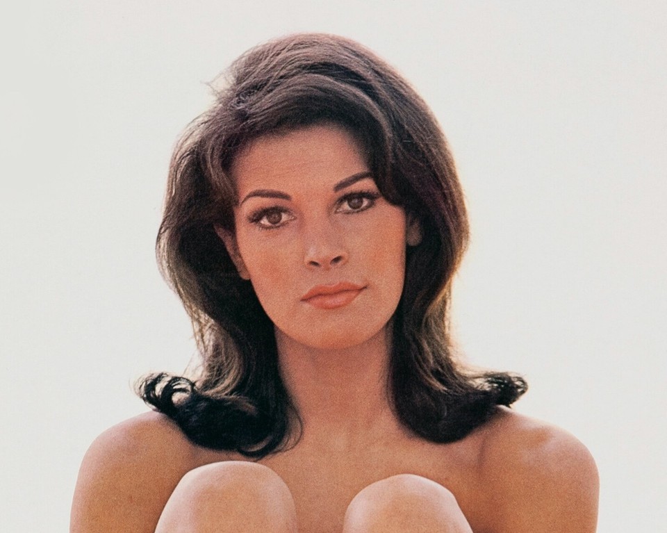 Raquel Welch Fantastic Voyage Film 1966 Publicity Promo Poster Ebay 4360