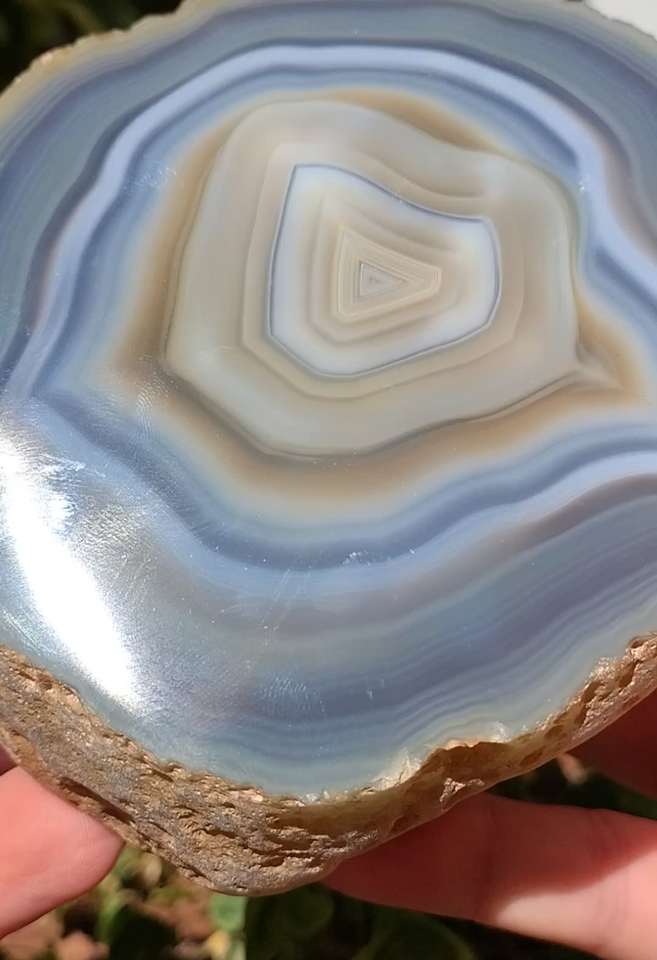 Big Banded Agate from MIsiones Argentina collector piece * 3.74 lbs | eBay