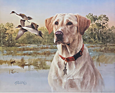 Jim Killen Sporting Dog Art Great Retrievers Yellow Lab-Pintails (19 ...