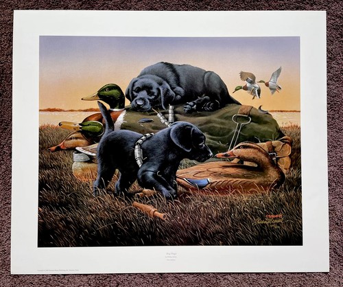 Phillip Crowe Signed Limited Edition Print "Dog Days" | eBay