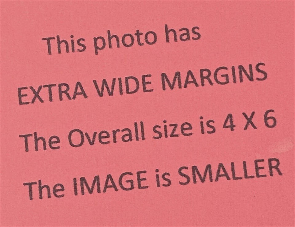 Found PHOTO Young Actor Singer Elvis Presley Shooting Gallery Rifle ...