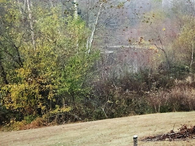 Turtle hunting lease South Central Kentucky 12 month lease | eBay