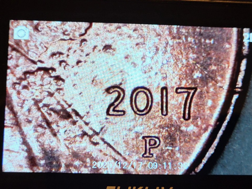 2017 P Lincoln Memorial Penny. Plating Errors, Bubbles,DDO, DDR Errors ...