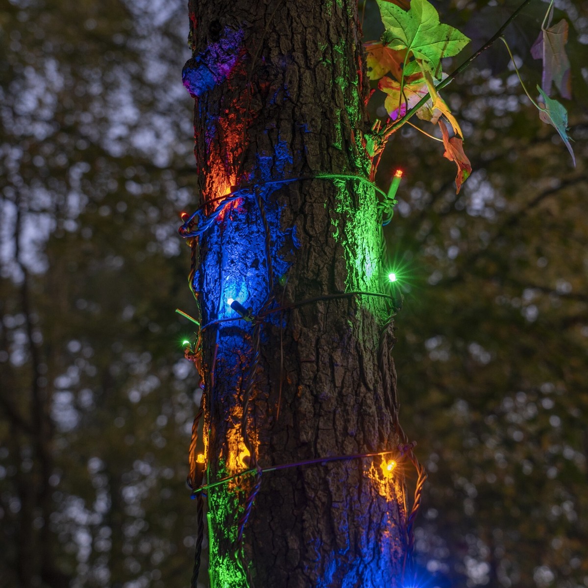String Lights Outdoor Christmas Tree Trunk