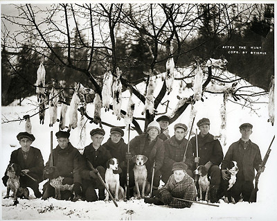 Antique Rabbit Hunting Shotguns Hunting Dogs Rabbits Hanging In Tree ...