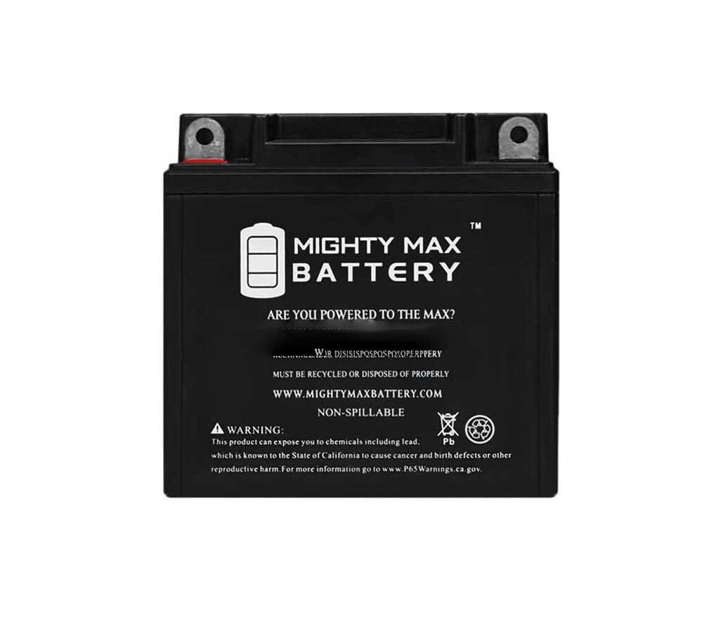 12V 6DM10 Battery For DuroMax XP12000EH Dual Fuel Generator | eBay