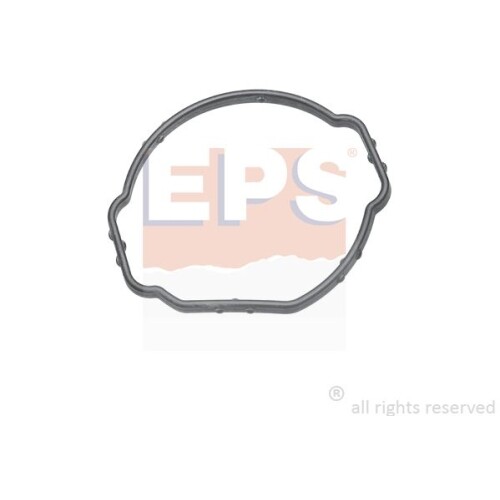 EPS Joint d'étanchéité, thermostat pour BMW 1.890.689 | eBay