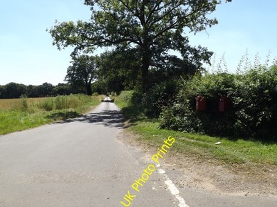 Photo 12x8 Low Common Road, Low Common Fen Street/TM0579 c2016 | eBay