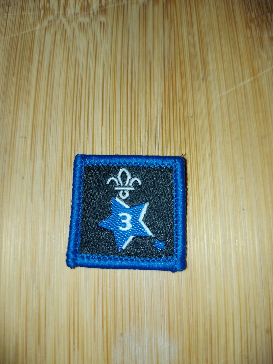 Uk Scout Logo UK Scouting Current Joining In Badge Year 8 NEW LOGO