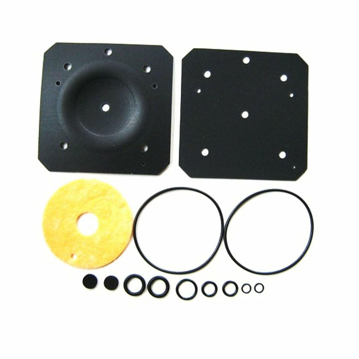 LPG Gasket Diaphragm Reducer Repair Kit Landi Renzo IG1/Li01 4300 | eBay