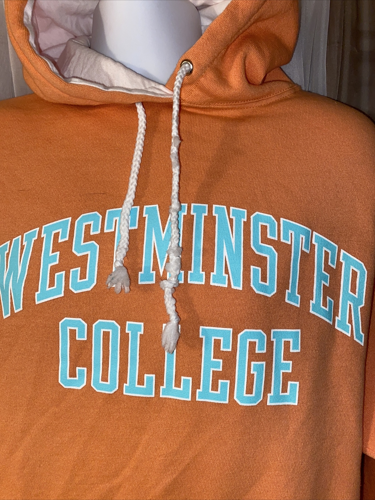 WESTMINSTER COLLEGE TITANS Hoodie Sweatshirt Men’s MEDIUM NCAA Gear ...