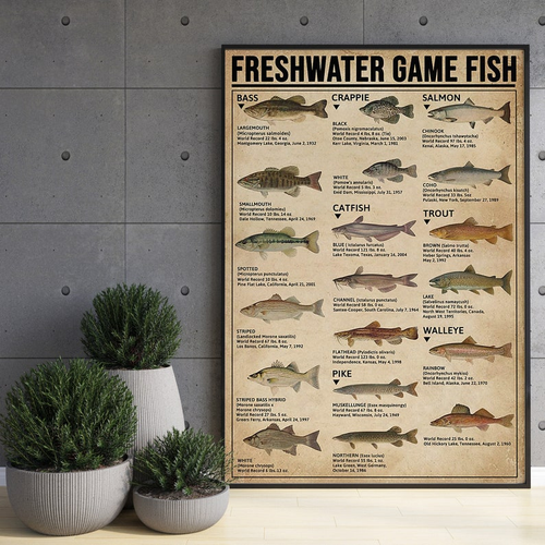 Freshwater Game Fish Knowledge Unframe Poster Vintage Art Print Fishing ...
