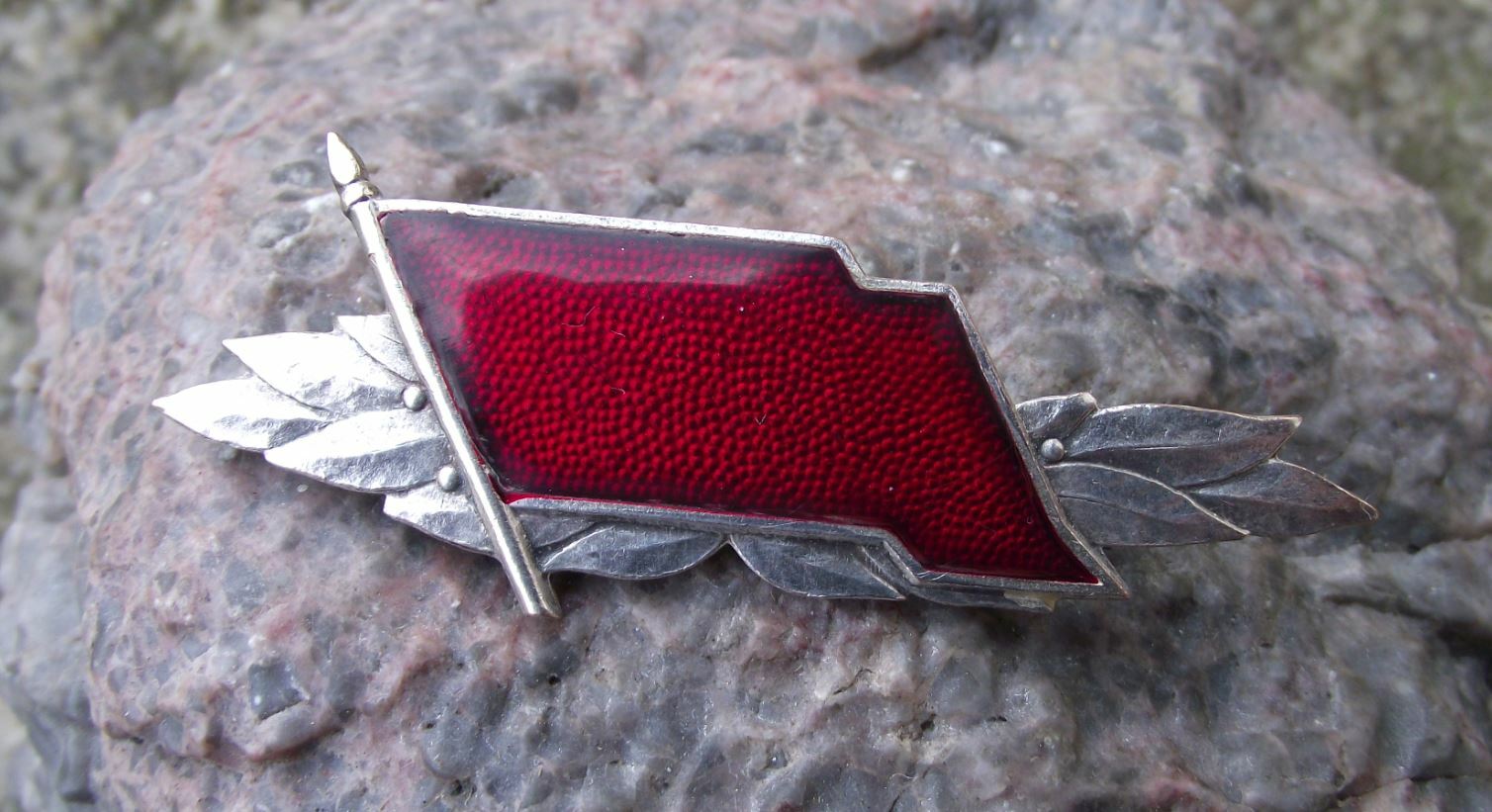 Vintage East German Paramilitary Organisation KdA Laurel Leaves DDR Pin ...