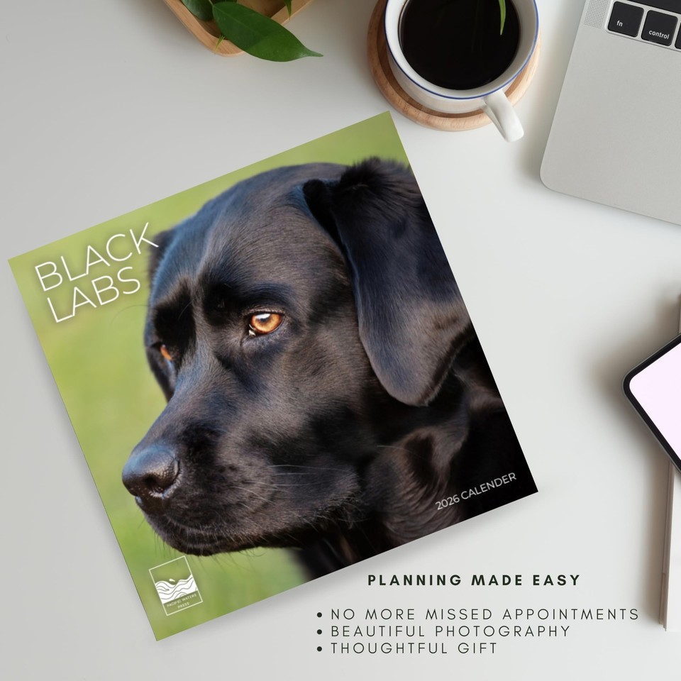 2026 Black Lab Wall Calendar 12 Month | 12" x 24" Open | Dog ...