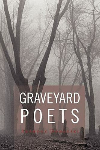 Graveyard Poets by Anthony Domanski (2011, Trade Paperback) for sale ...
