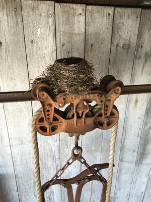 Barn Doors - Barn Door Trolley - 2 - Vatican