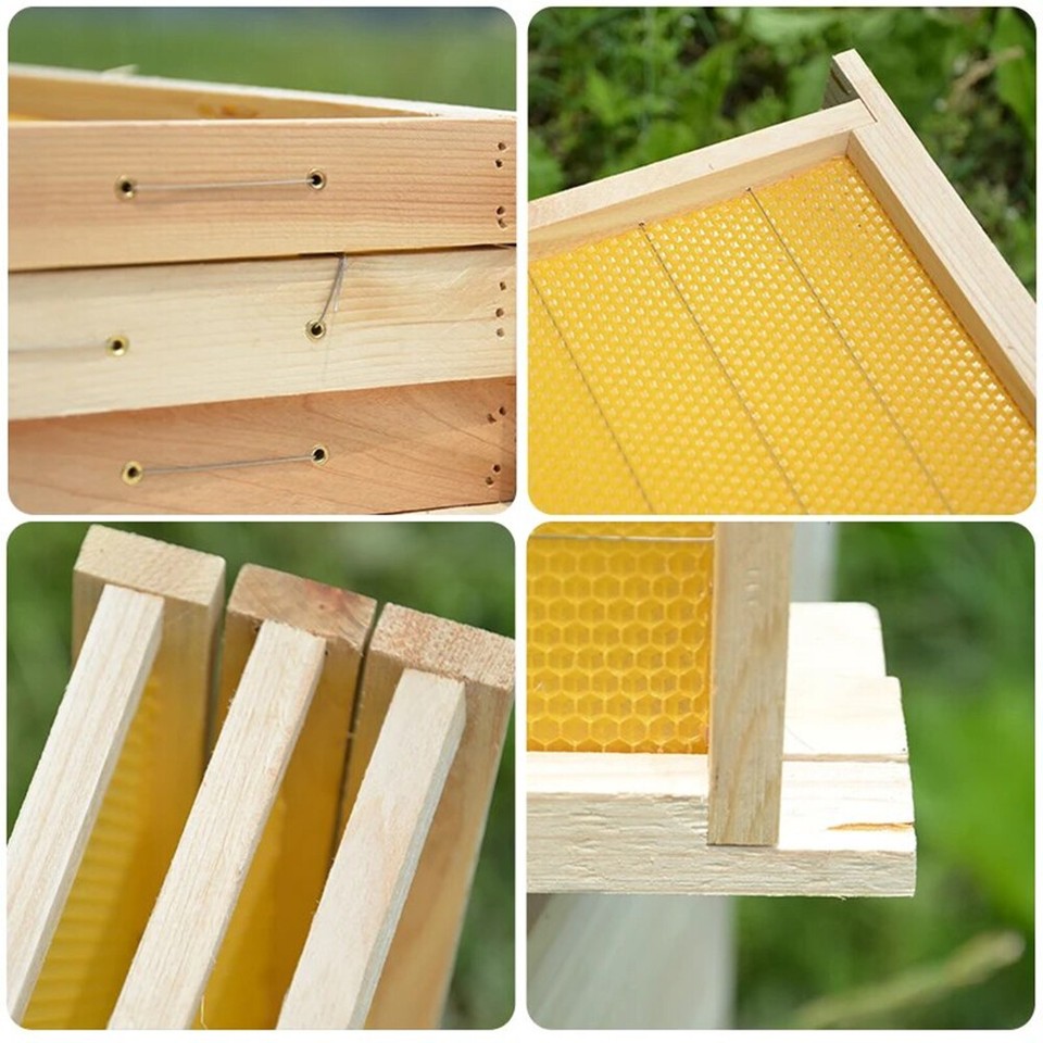 10Pcs Beehive Honey Hive Frame Bee Hives Bee Comb Hive Frames for ...