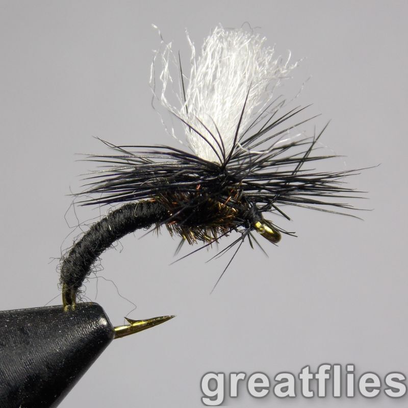 1 dozen (12) - Klinkhammer - Black | eBay