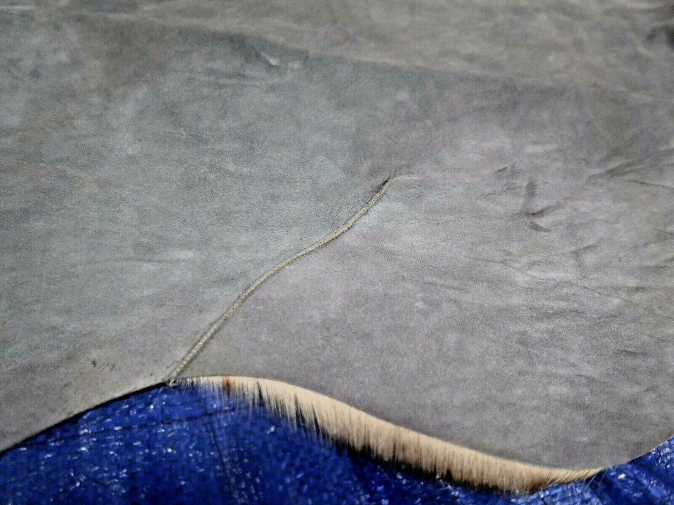 Red Hartebeest skin - African Deer Skin - Deer Hide Rug - Antelope Rug ...