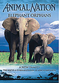 Animal Nation - Elephant Orphans (DVD, 2007) 5034504731172 | eBay
