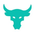 Project Rock Bull -Decal Logo Sticker | eBay